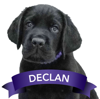 The Armed Forces Financial Network | AFFN