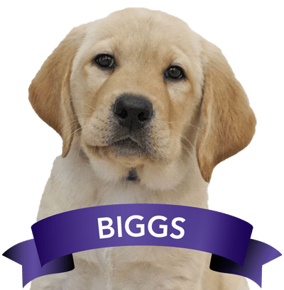 The Armed Forces Financial Network | AFFN